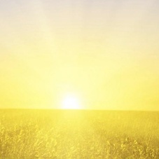 SteinerVerse - Rudolf Steiner's Teachings